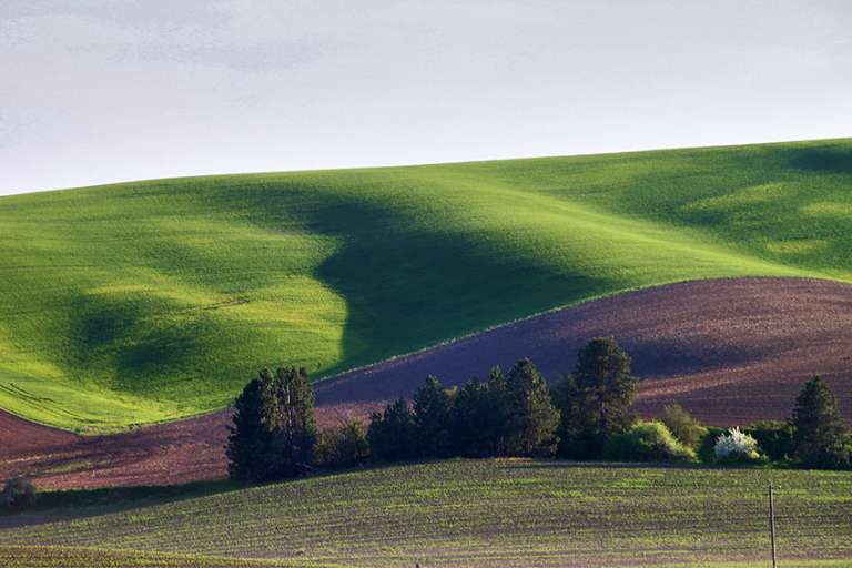 Paradise in the Palouse - Traveling Boy