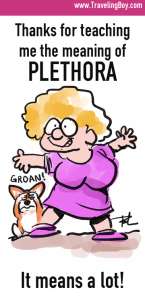 The Meaning of Plethora - Traveling Archive